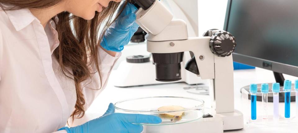 How to become a Quality Control Technician | Spherion